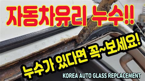 자동차유리교환 전면유리 누수 앞유리누수 비가센다면 꼭 보세요~ Youtube