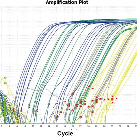Amplification Curve Of Quantitative Real Time Pcr The Amplification Download Scientific