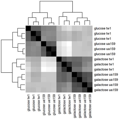 Clustering Of 13 Rna Seq Samples Heatmap Shows The Euclidean Distances Download Scientific