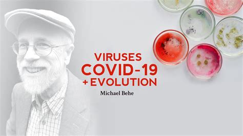 Viruses Covid 19 And Evolution Discovery Institute