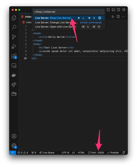 Vs Code 擴充推薦 Live Server Myapollo