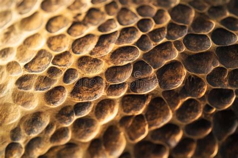 A Bronze Textured Surface With A Fine Dimpled Pattern Creating A