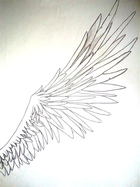 Anime Side View Side View Drawing Wings Drawing