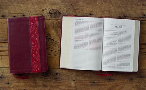 Esv Giant Print Personal Size Bible Red Letter Trutone Pink Holy