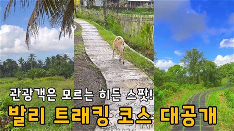발리 여행 중 꼭 해봐야 할 액티비티 1위 트래킹 브이로그 I 발리 우붓ubud 여행vlog Youtube