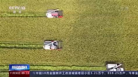 机收减损工艺改造产业链延伸 我国粮食全链条减损取得积极进展 中安新闻 中安新闻客户端 中安在线