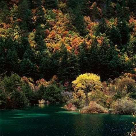 Pandas日期列读取成日期格式 知乎 Pandas日期列读取成日期格式 知乎