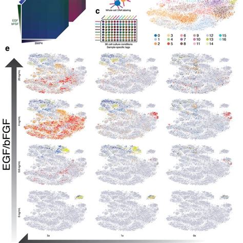Overview Of The Dna Data Storage Workflow And Stored Data A The