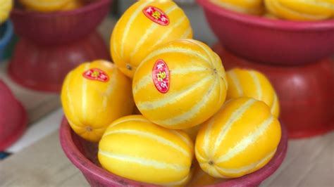 Korean Melon How To Eat And Taste Oriental Melon Or Chamoe