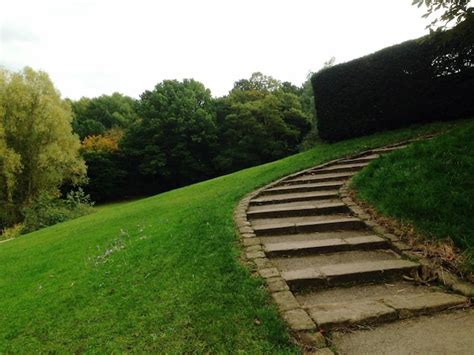 Premium Photo Steps On Grass In Park Against Sky