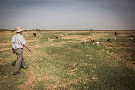 The Man Who Almost Wiped Out The Guinea Worms The New York Times