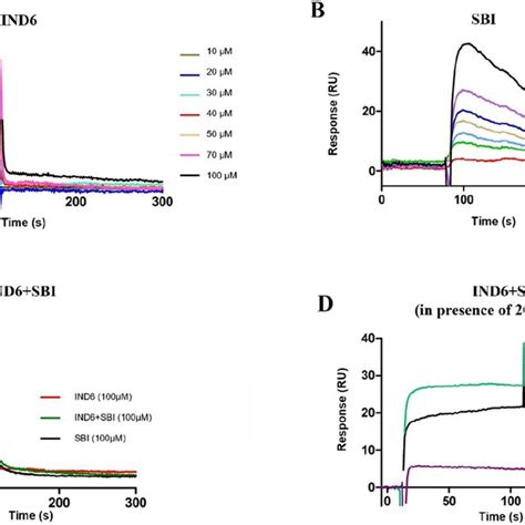 Typical Sets Of Spr Binding Curves For The Interaction Of Ampkα1β1γ1