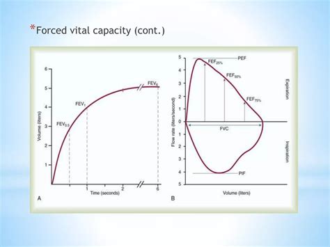 Pulmonary Function Test Ppt Pptx