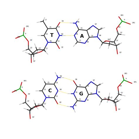 Visualization Of Watson Crick Base Pairs — Biotite