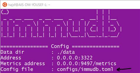 how to archive backup · issue 722 · codenotary immudb · github