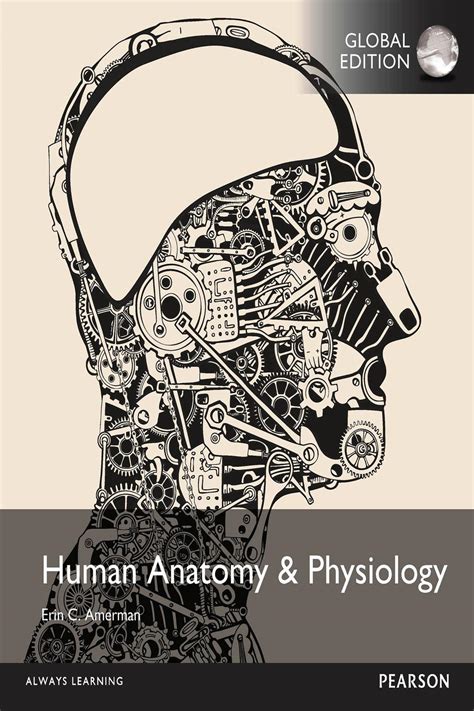 Anatomy And Physiology Textbook Pearson