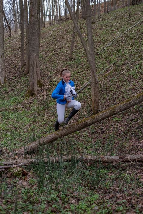 Хоббихорсинг хорс хх Лошадиные породы Лошади Хобби