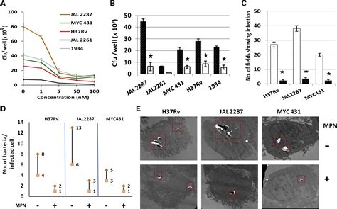 Mycobacterium Tuberculosis Driven Targeted Recalibration Of Macrophage
