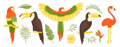 평면 스타일의 손으로 그려진 이국적인 요소의 벡터 열대 세트 야자수 잎 열대 식물 꽃 잎 새 과일 따뜻한 여름 색상과 화려한 평면 그래픽 스티커 웹 사이트 디자인 기사 여행