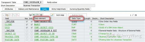 Sap Abap Ddic 结构字段的一些技术限制条件 知乎