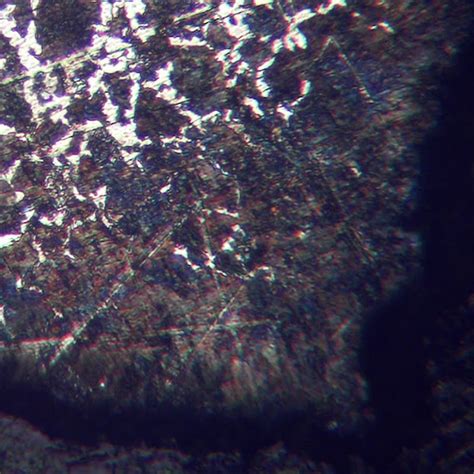 Trash Monkey Youtube