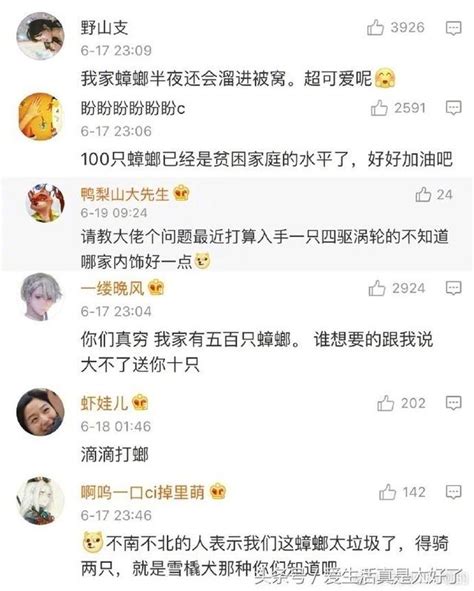 北方有車，南方有螂，嗨呀南方人又一個秘密讓北方人給知道了 每日頭條