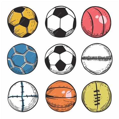 Premium Vector Collection Various Sports Balls Sketch Style Drawings