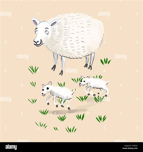Illustration Of A Sheep In A Field Stock Photo Alamy