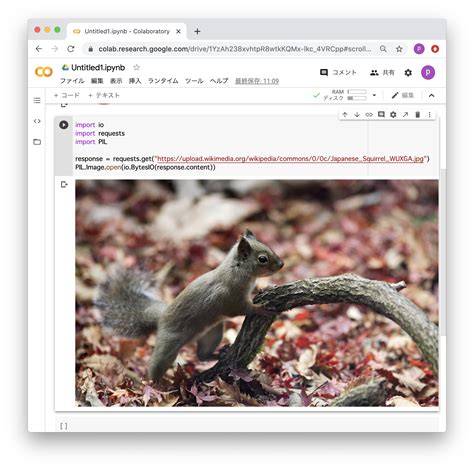 Pythonで画像表示 ゼロからのpython入門講座 Pythonjp
