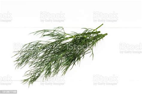 흰 배경에 신선한 녹색 딜 무리 인간을위한 비타민과 미네랄의 소스 건강한 식생활에 대한 스톡 사진 및 기타 이미지 건강한 식생활 나뭇가지 딜 허브 Istock