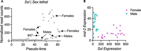 Cell Press Star Protocols