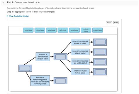 Solved Part A Concept Map The Cell Cycle Complete The Chegg