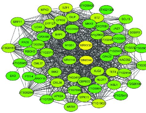 Prediction Of Protein Interactions Download Scientific Diagram