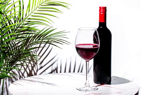 무알콜 무알콜 레드 와인 템프라니요 병과 함께 유리잔 흰색 배경 야자수 잎 그림자 단단한 빛 Grenache에 대한 스톡 사진 및 기타 이미지 Istock