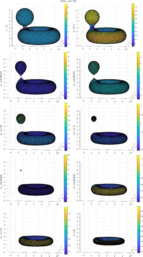 figure 8 from numerical surgery for mean curvature flow of surfaces
