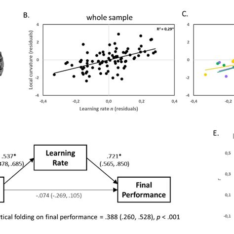 Cortical Folding Predicts Learning In Regions Undergoing Download