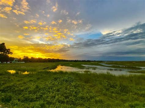 Jalpaiguri Lava What To Expect Timings Tips Trip Ideas By