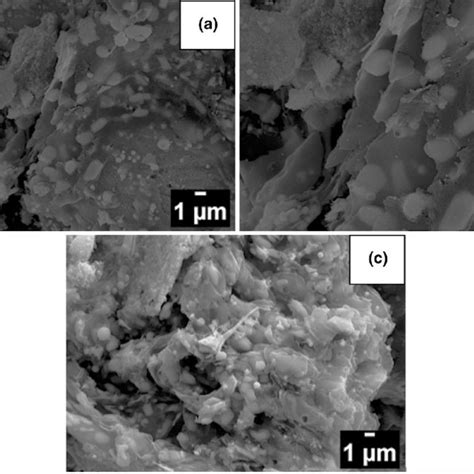 The Sem Micrograph Of Eubi Oxide Calcined A B And Sintered C For