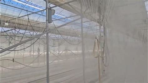 공중부양 파프리카 무인방제 농사파프리카 하우스파프리카 농사 육묘 육묘일기 방제 자동화기계 자동화설비 자동화시스템 Kakaotalk 20240704