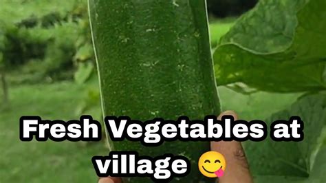 Fresh Vegetables At Villageassamassamese Youtube