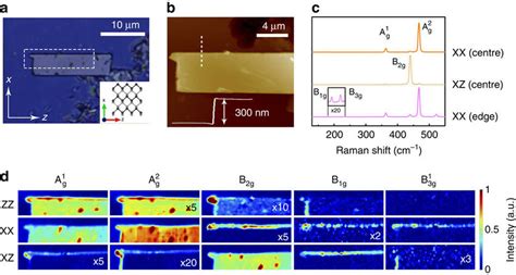 Characterisation And Raman Results Of An Exfoliated Flake Of Bp With