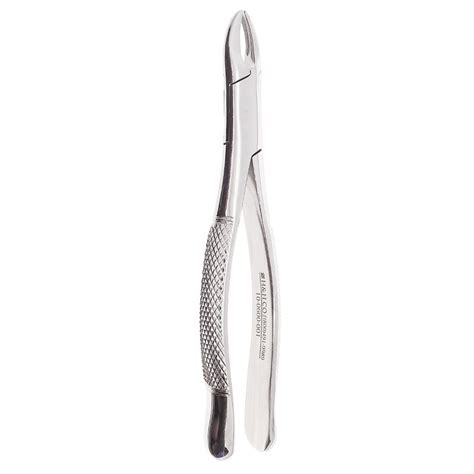 Ext Forcep 1 Upper Incisors And Roots