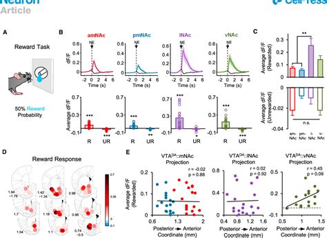 Figure 4 From Functional Architecture Of Dopamine Neurons Driving Fear