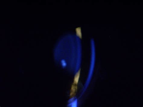 Írisz Ciszta Kutyaszemeszet Hu