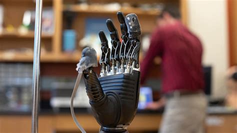 Biomedical Engineering Prosthetics