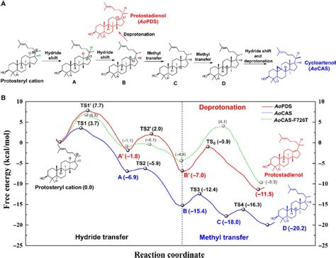 qm mm multiscale simulations of catalytic processes a the plausible download scientific