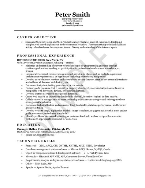 Web Developer Resume Example