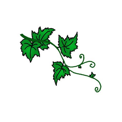 Flower Vine Drawing Easy Best Flower Site