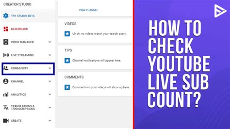 How To Check Your YouTube Live Subscriber Count Easily