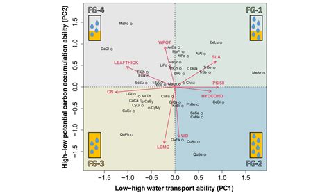 Strong Nestedness And Turnover Effects On Stand Productivity In A Long‐term Forest Biodiversity